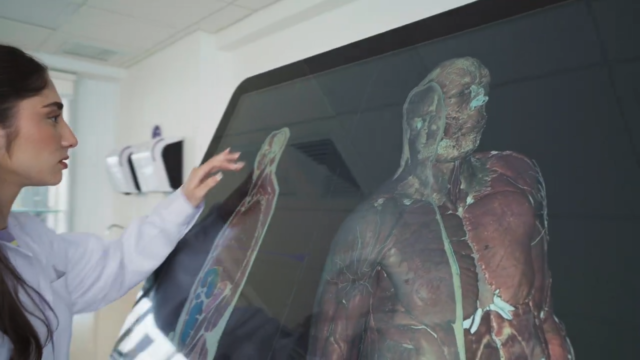 Carreras universitarias - UPN